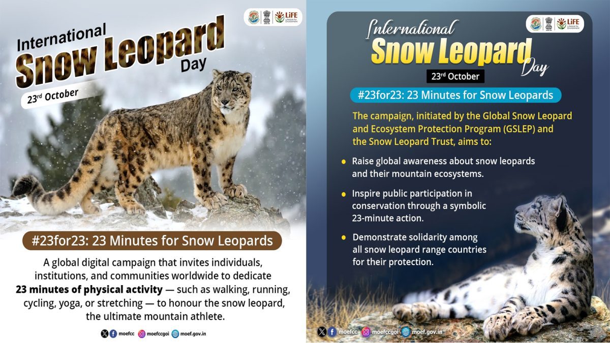 India marks International Snow Leopard Day with nationwide '#23for23 ...