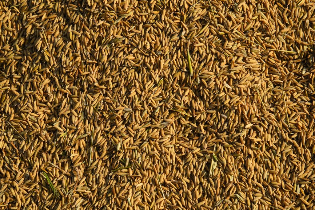 Centre expands PMFBY to insure crop loss from wild animals and paddy ...